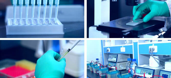 Cusabio Story - Cusabio