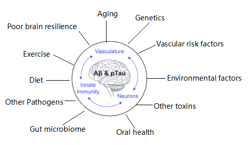 If I Have 100 Million Dollars - Cusabio