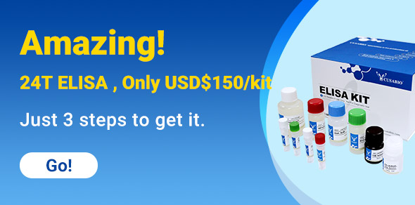 Antibodies, Protein, ELISA Kits, Clone and Reagents for Life Science- Cusabio