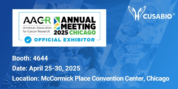 Antibodies, Protein, ELISA Kits, Clone and Reagents for Life Science ...