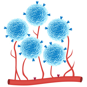 ADC Research & Development Solutions- CUSABIO