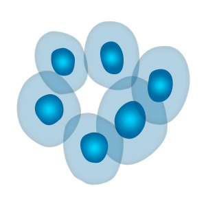 ADC Research & Development Solutions- CUSABIO