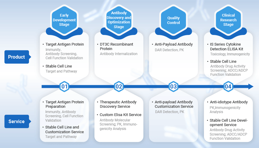 ADC Research & Development Solutions- CUSABIO
