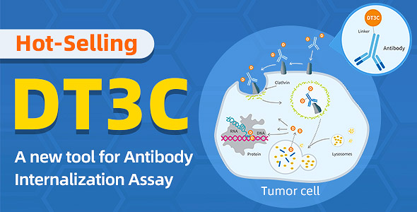 Antibodies, Protein, ELISA Kits, Clone and Reagents for Life Science ...