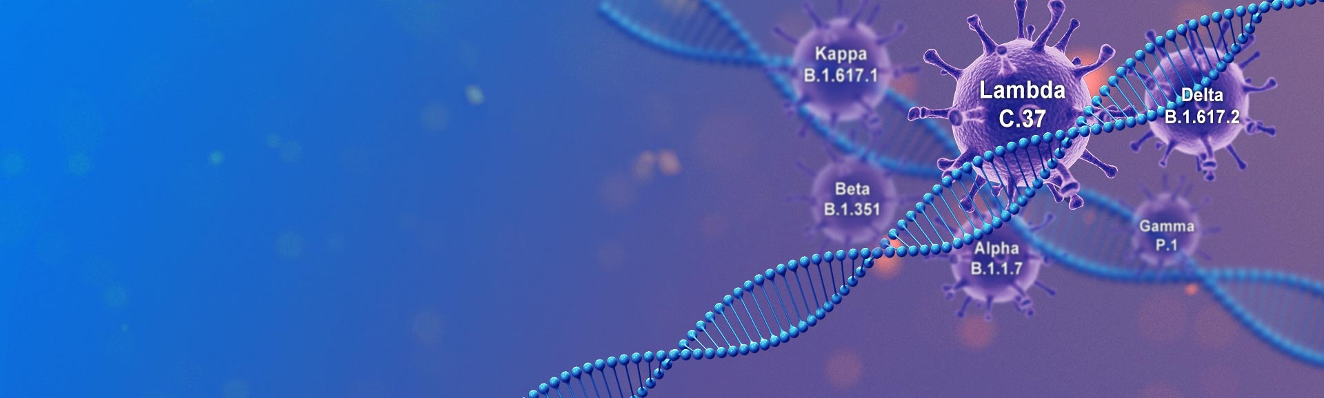 Antibodies, Protein, ELISA Kits, Clone and Reagents for Life Science- Cusabio