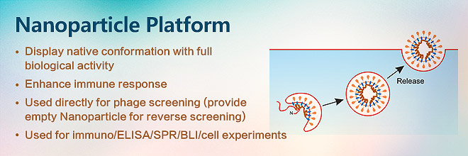[Cusabio] Nanoparticle platform을 만나보세요!! > BRIC