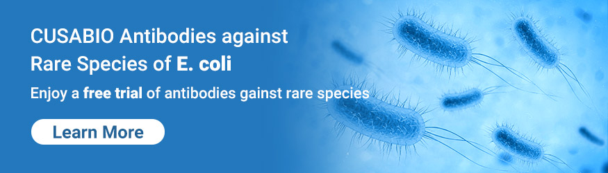 Promotions - CUSABIO