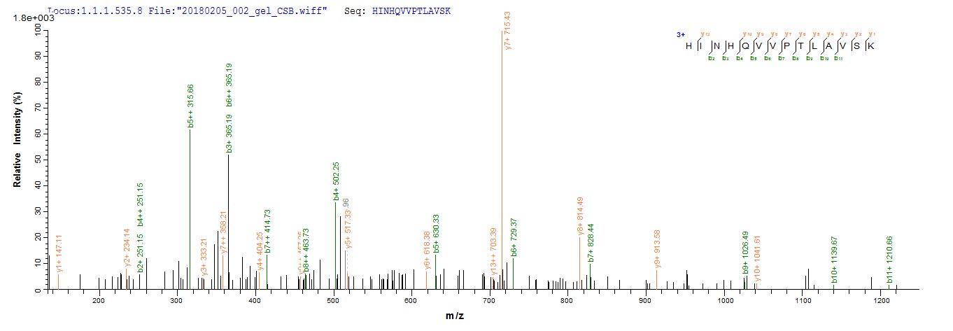 Recombinant Human Papillomavirus Type 16 Regulatory Protein E2 E2