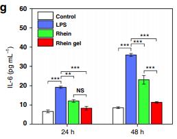 Mouse Interleukin 6,IL-6 ELISA KIT - Cusabio
