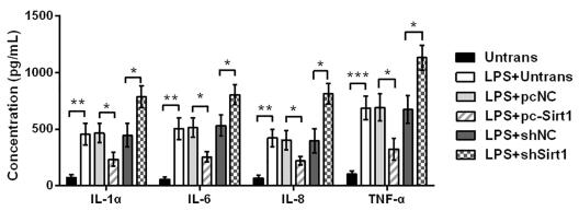 Human Interleukin 8,IL-8 ELISA KIT - Cusabio