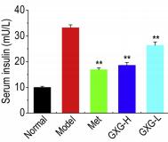 Mouse Insulin,INS ELISA Kit 试剂盒 提供基因,重组蛋白,抗体,ELISA kit,诊断试剂原料,定制服务-武汉华美生物